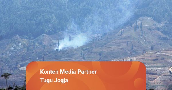 Hutan di Gunung Sumbing, Temanggung, Terbakar Lagi | kumparan.com